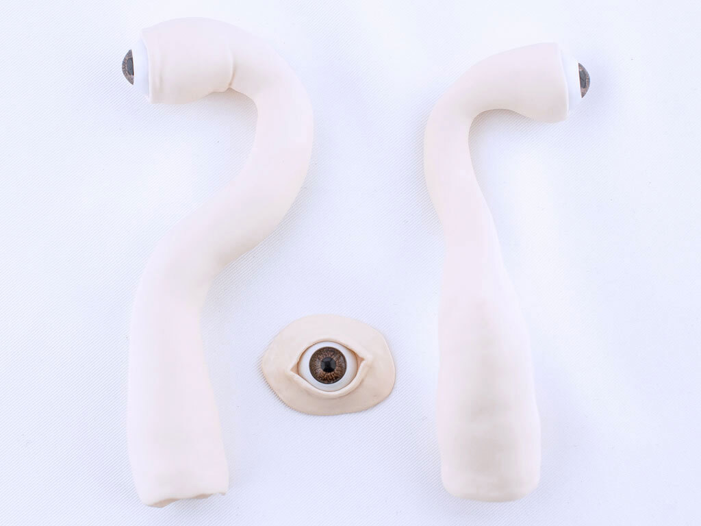 Parasyte Izumi shinichi Parasite Migi Cosplay Set mp002136 - Best ...