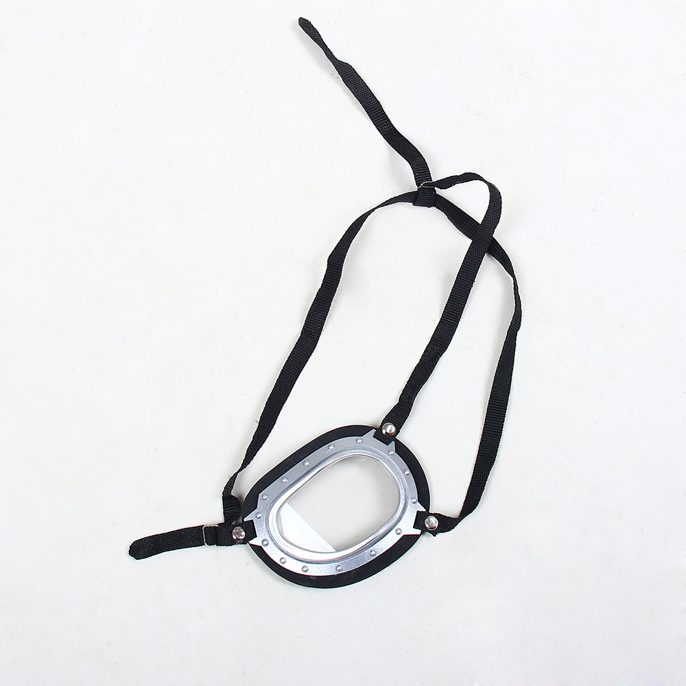GuiltyGear Strive Baiken Cosplay Monocle Glasses C07284 - Best ...