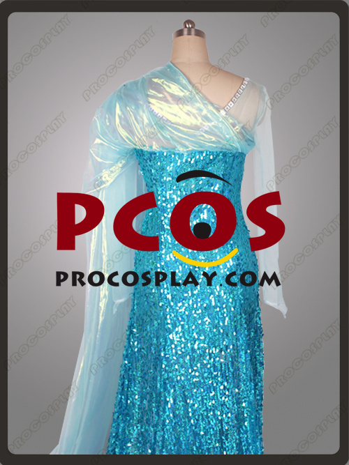Walt Disney animated film Frozen Queen Elsa Cosplay Costume for Custom ...