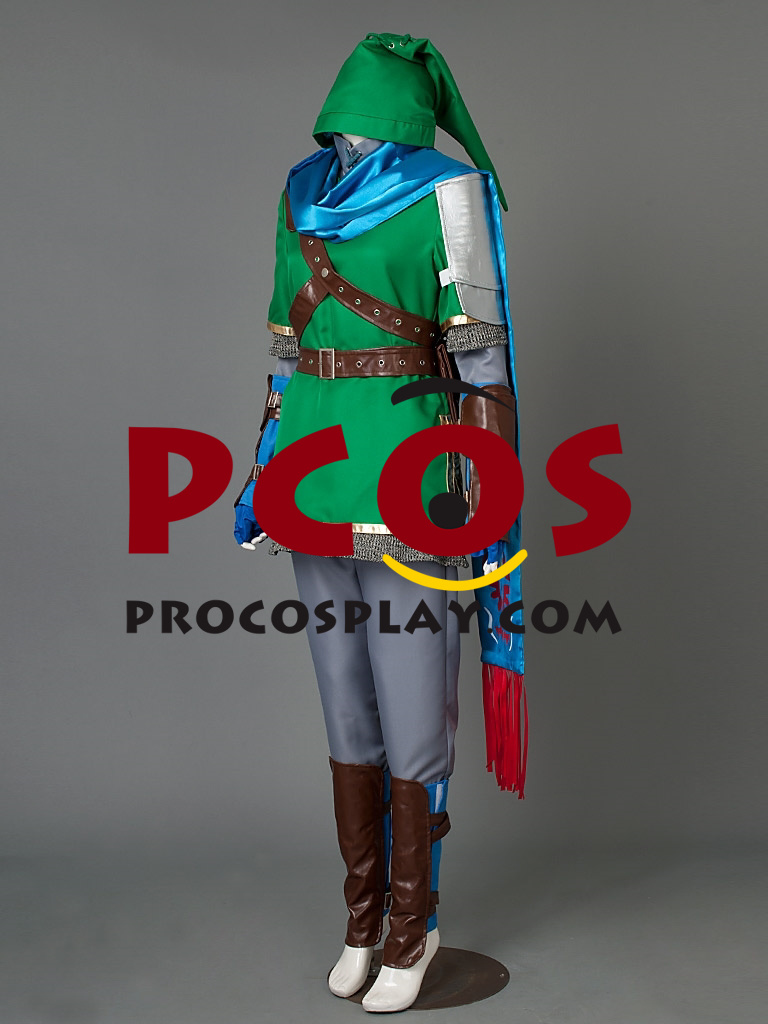 The Legend of Zelda Hyrule Warriors Link Cosplay Costume mp002133 ...