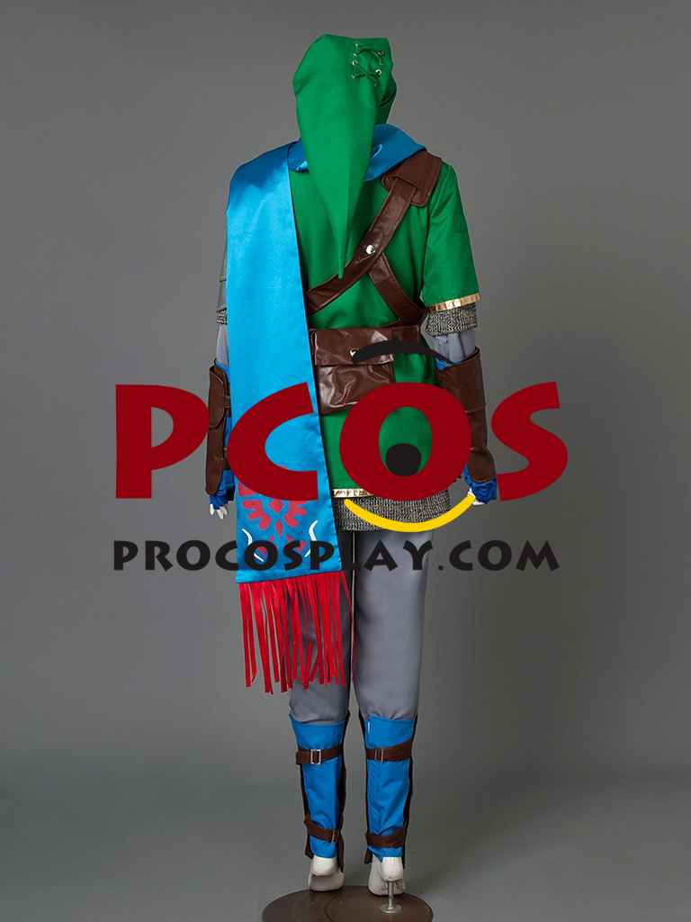 The Legend of Zelda Hyrule Warriors Link Cosplay Costume mp002133 ...