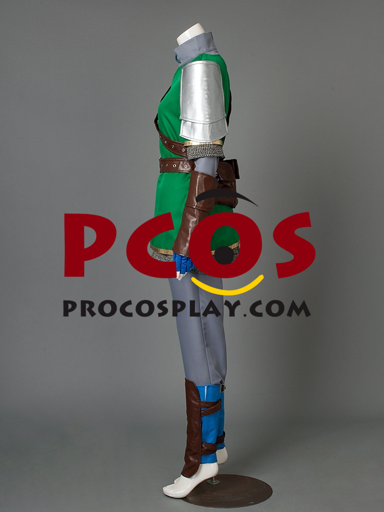 The Legend of Zelda Hyrule Warriors Link Cosplay Costume mp002133 ...