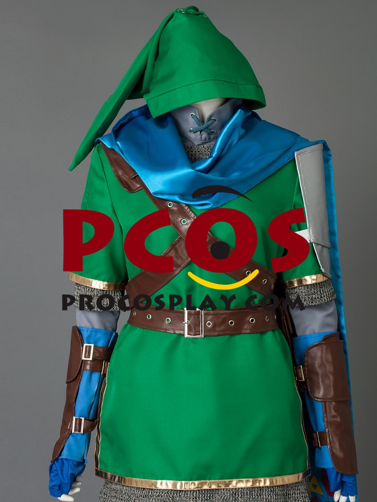 The Legend of Zelda Hyrule Warriors Link Cosplay Costume mp002133 ...