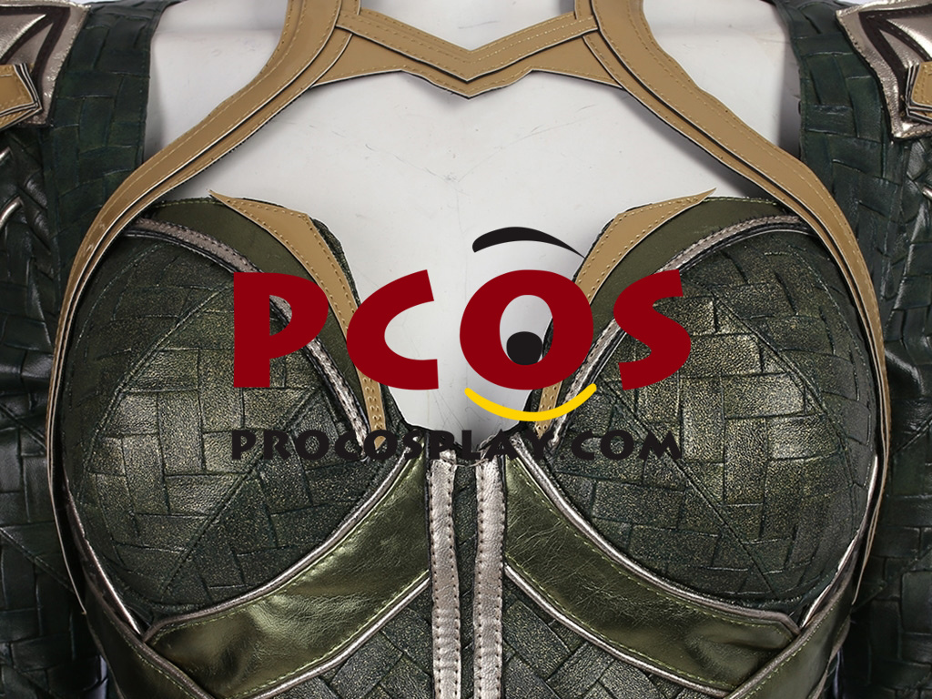 Ready To Ship Justice League Film Mera Cosplay Costume Mp003844 Best