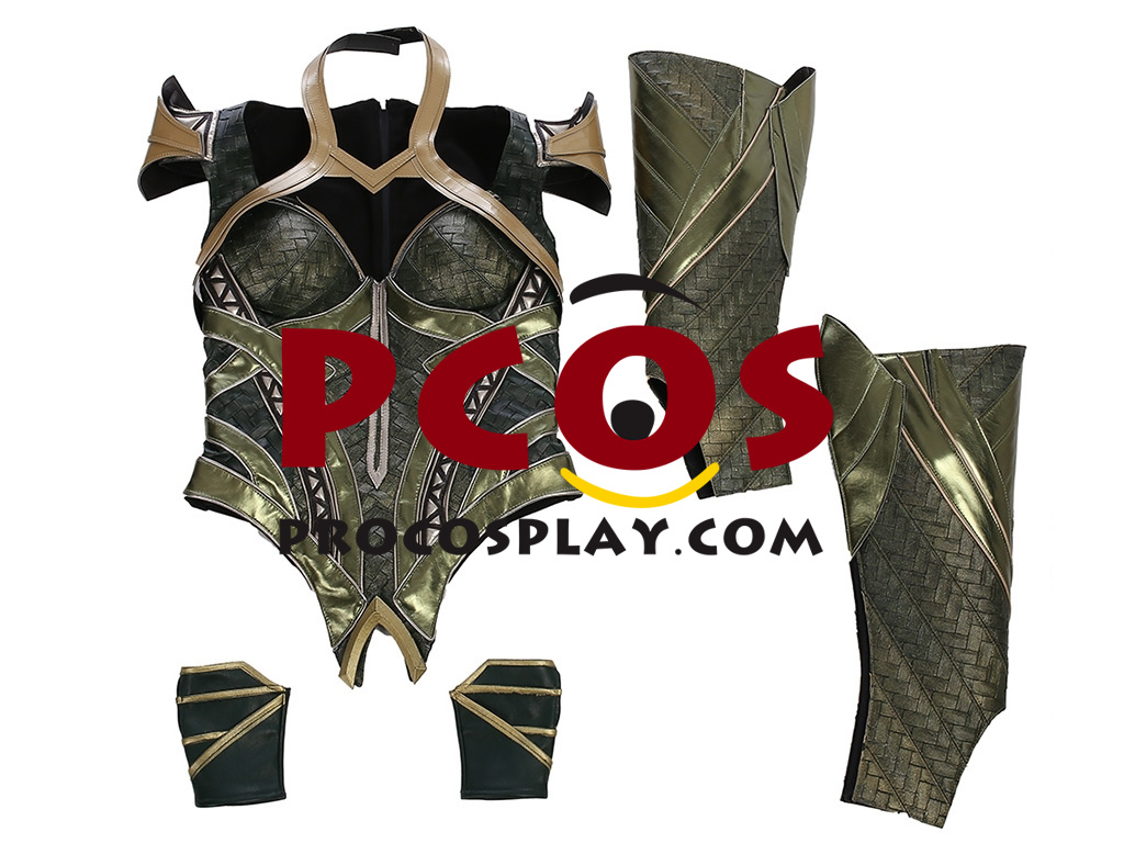 Ready To Ship Justice League Film Mera Cosplay Costume Mp003844 Best