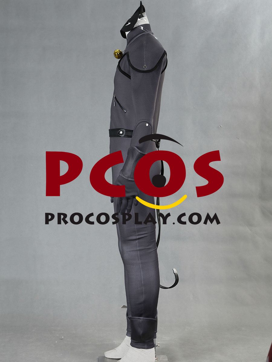 Miraculous Ladybug Adrien Première Génération Chat Noir Cosplay Costume ...