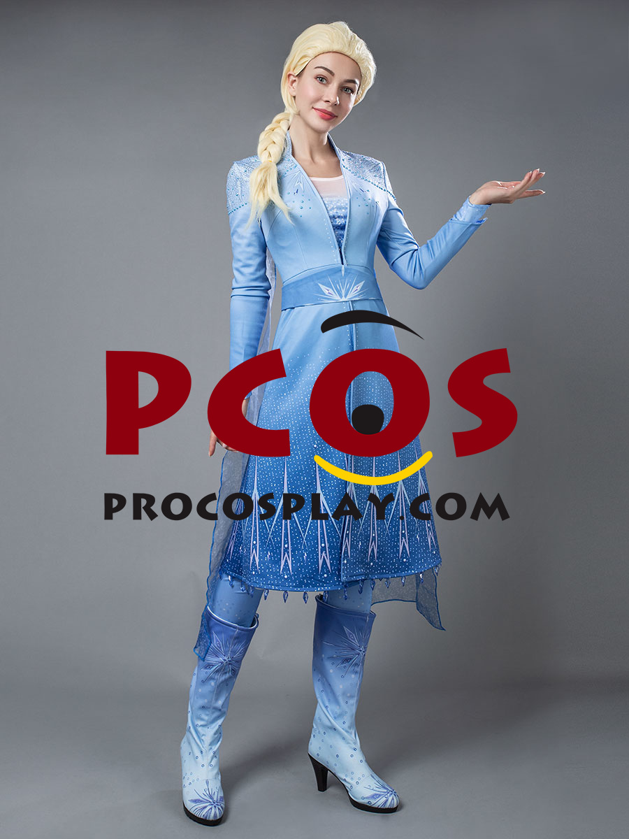 Buy Frozen 2 Elsa Cosplay Costume and get fast shipping on ProCosplay ...