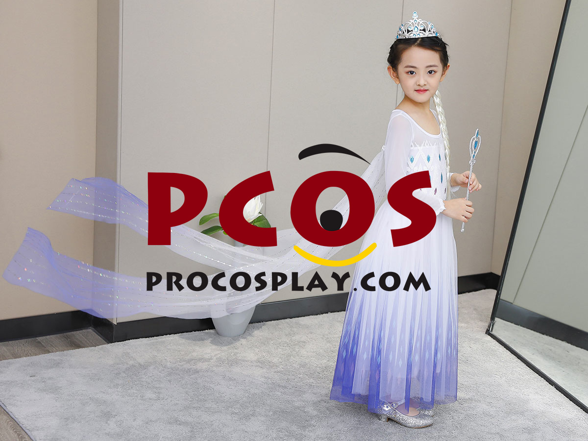 Ready to Ship Frozen 2 Elsa Spirit Dress Cosplay Costume For Kids ...