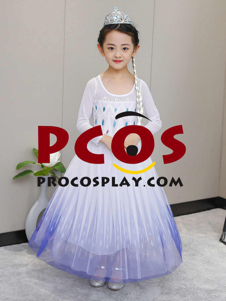 Ready to Ship Frozen 2 Elsa Spirit Dress Cosplay Costume For Kids ...