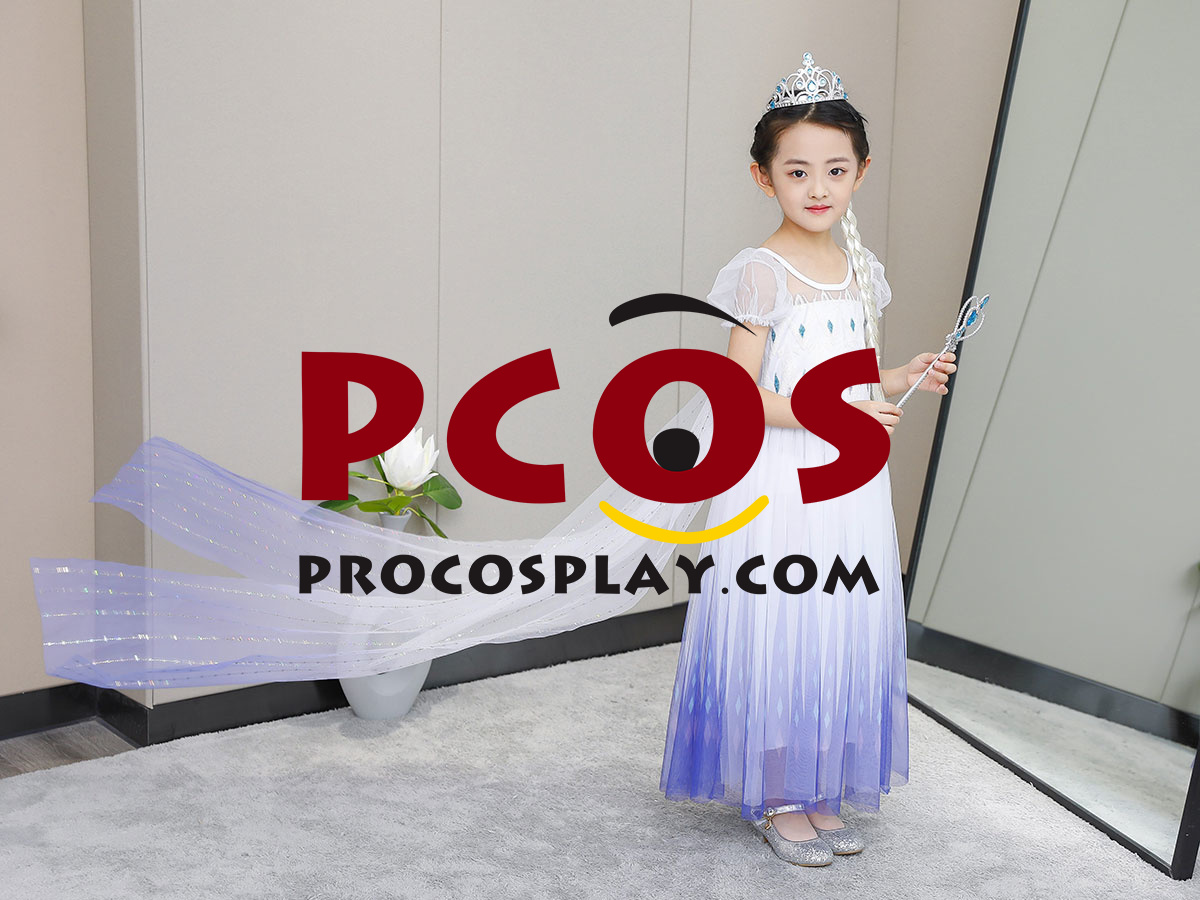 Ready to Ship Frozen 2 Elsa Spirit Dress Cosplay Costume For Kids ...