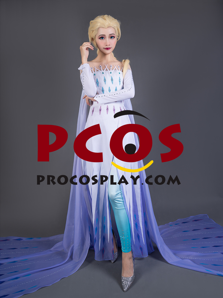 Frozen 2 Elsa Spirit Dress Cosplay Costume mp005584 - Best Profession ...