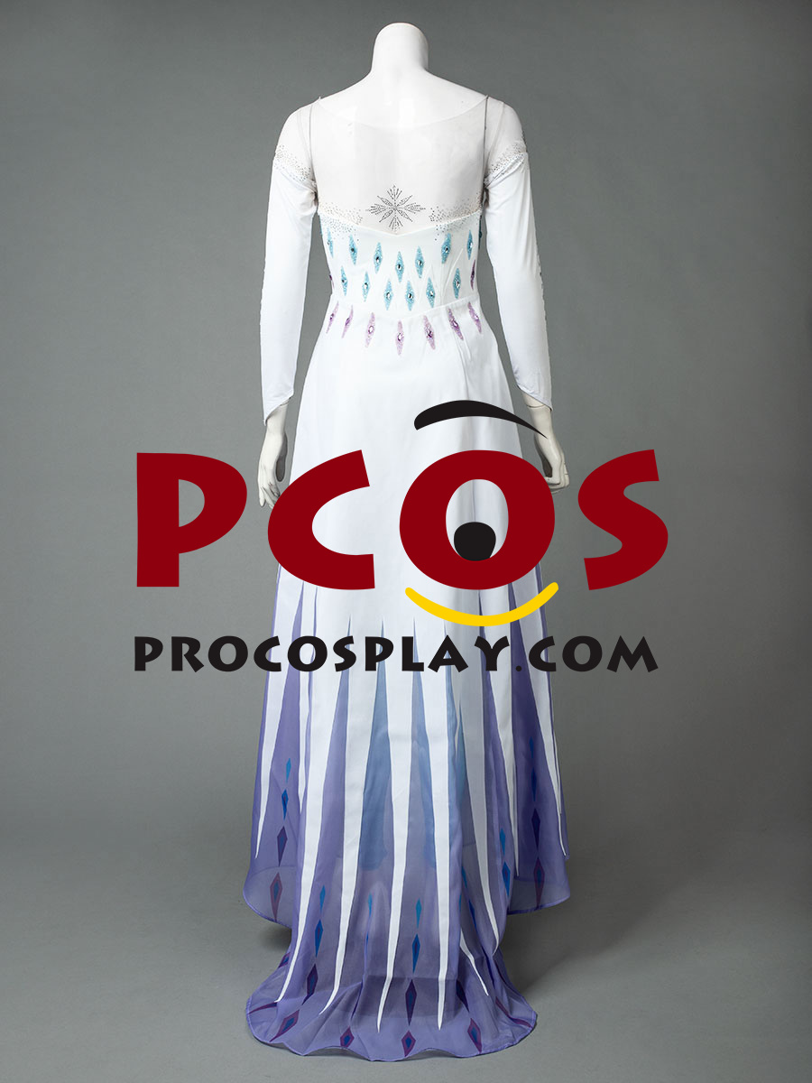 Frozen 2 Elsa Spirit Dress Cosplay Costume mp005584 - Best Profession ...