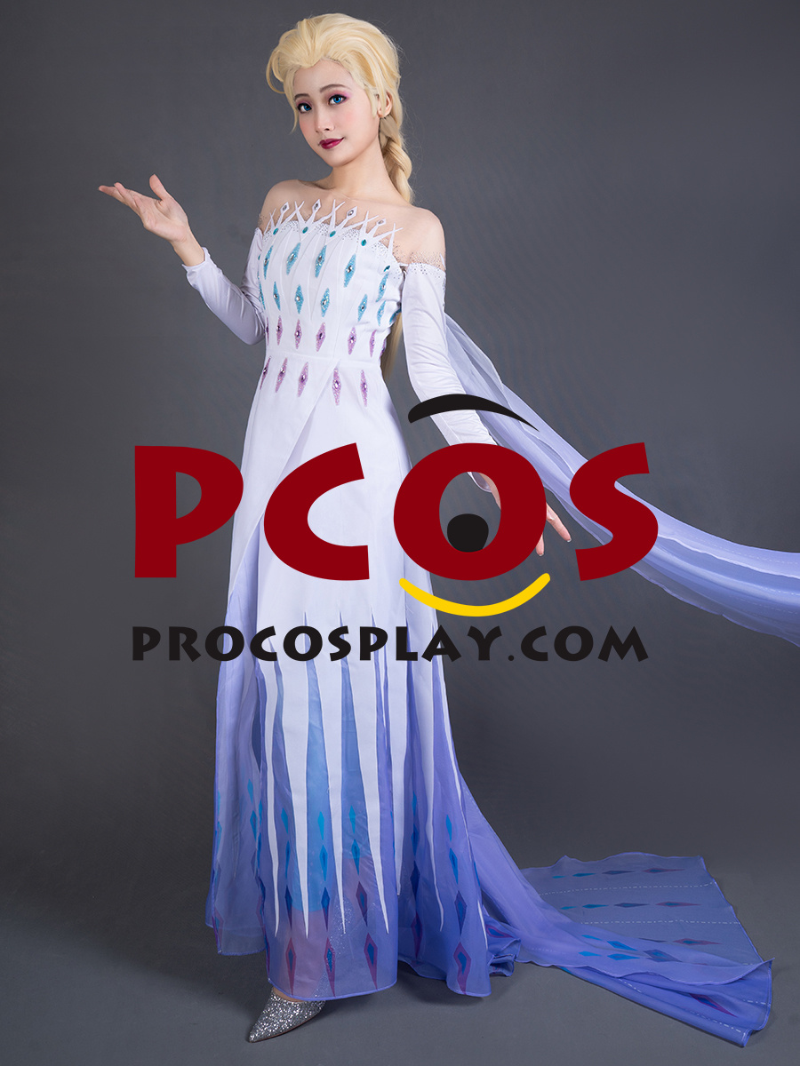 Frozen 2 Elsa Spirit Dress Cosplay Costume mp005584 - Best Profession ...