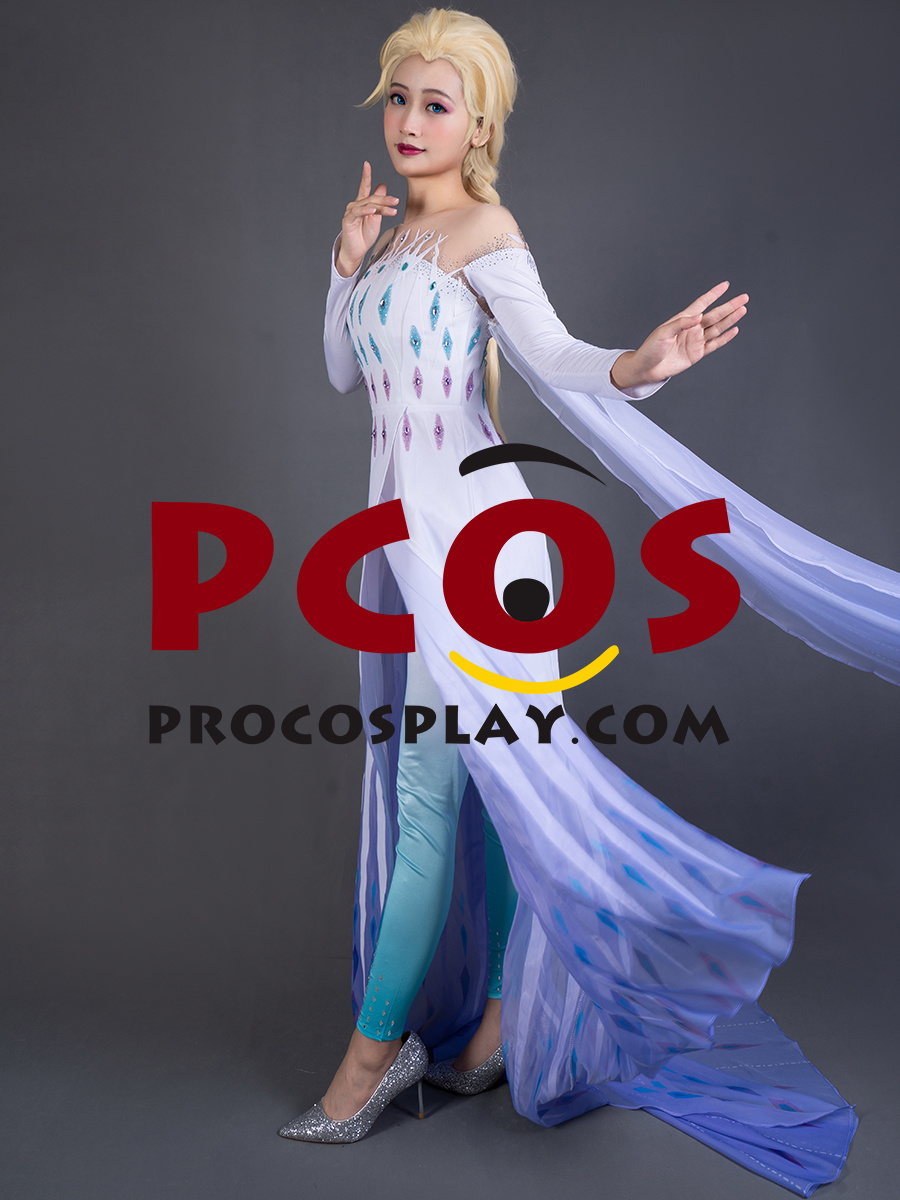 Frozen 2 Elsa Spirit Dress Cosplay Costume mp005584 - Best Profession ...