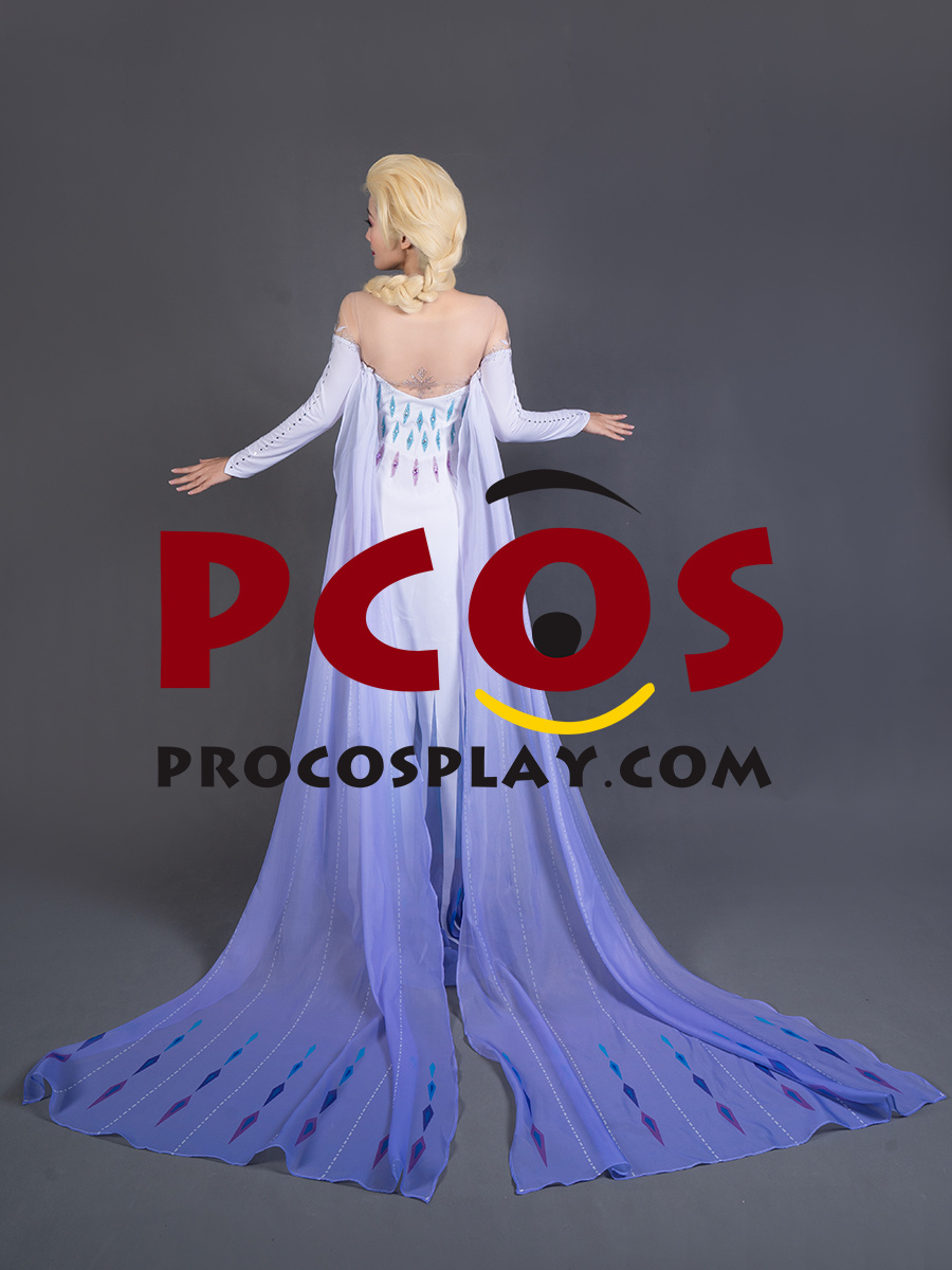 Frozen 2 Elsa Spirit Dress Cosplay Costume mp005584 - Best Profession ...