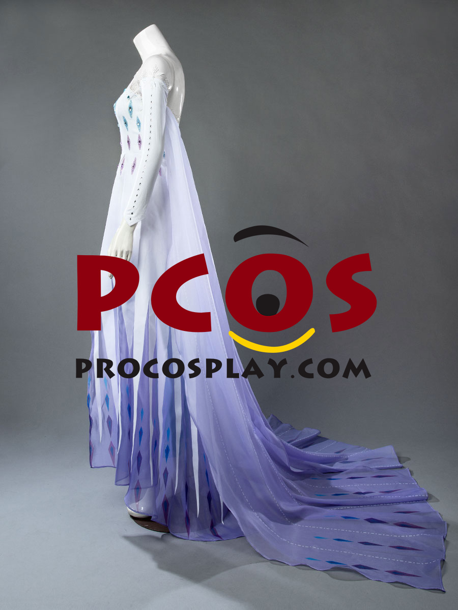 Frozen 2 Elsa Spirit Dress Cosplay Costume mp005584 - Best Profession ...
