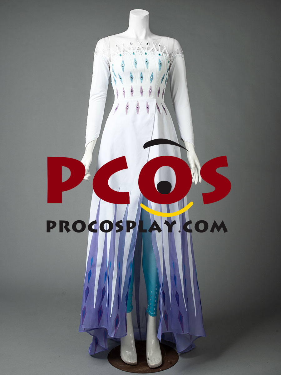 Frozen 2 Elsa Spirit Dress Cosplay Costume mp005584 - Best Profession ...