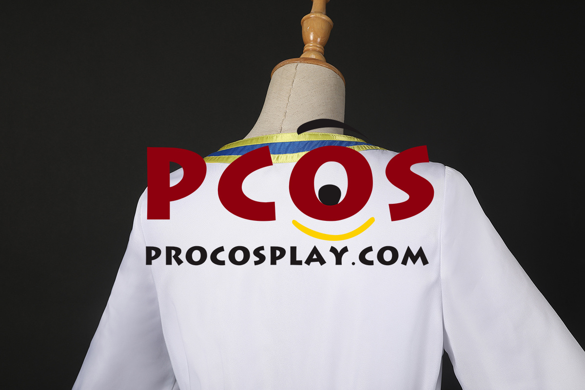 The rising of the shield hero Filo Cosplay Costume - Best Profession ...