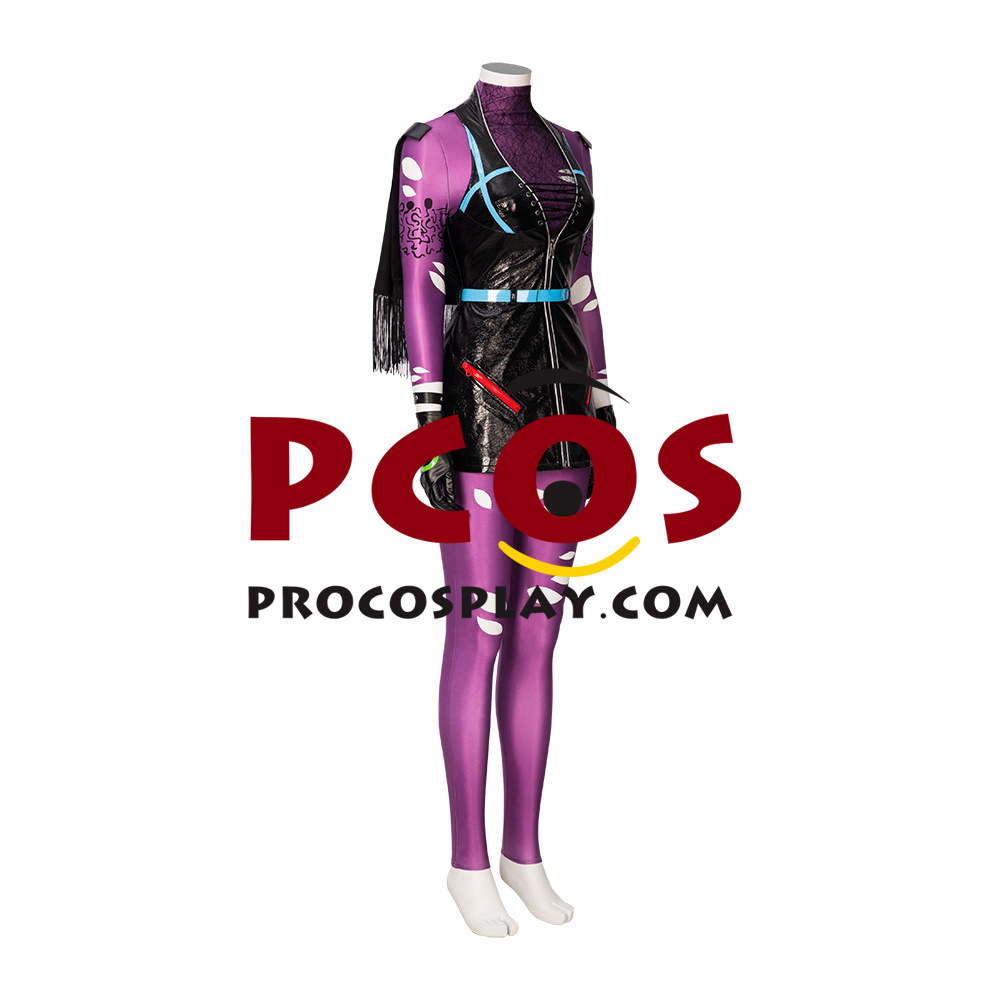 D.C. Comic Punchline Cosplay Costume - Best Profession Cosplay Costumes ...