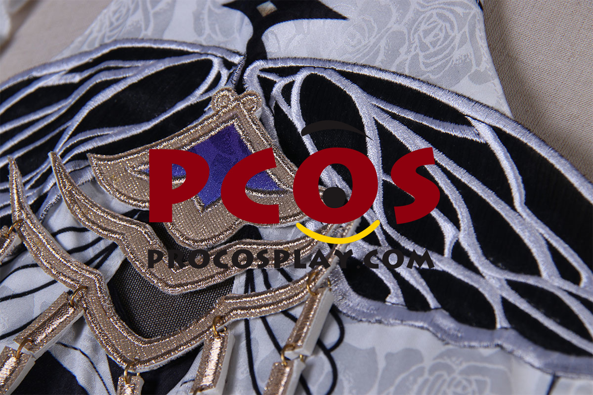 Honkai Impact 3 Thirteen Heroes of Chasing Fire Aponia Cosplay Costume ...