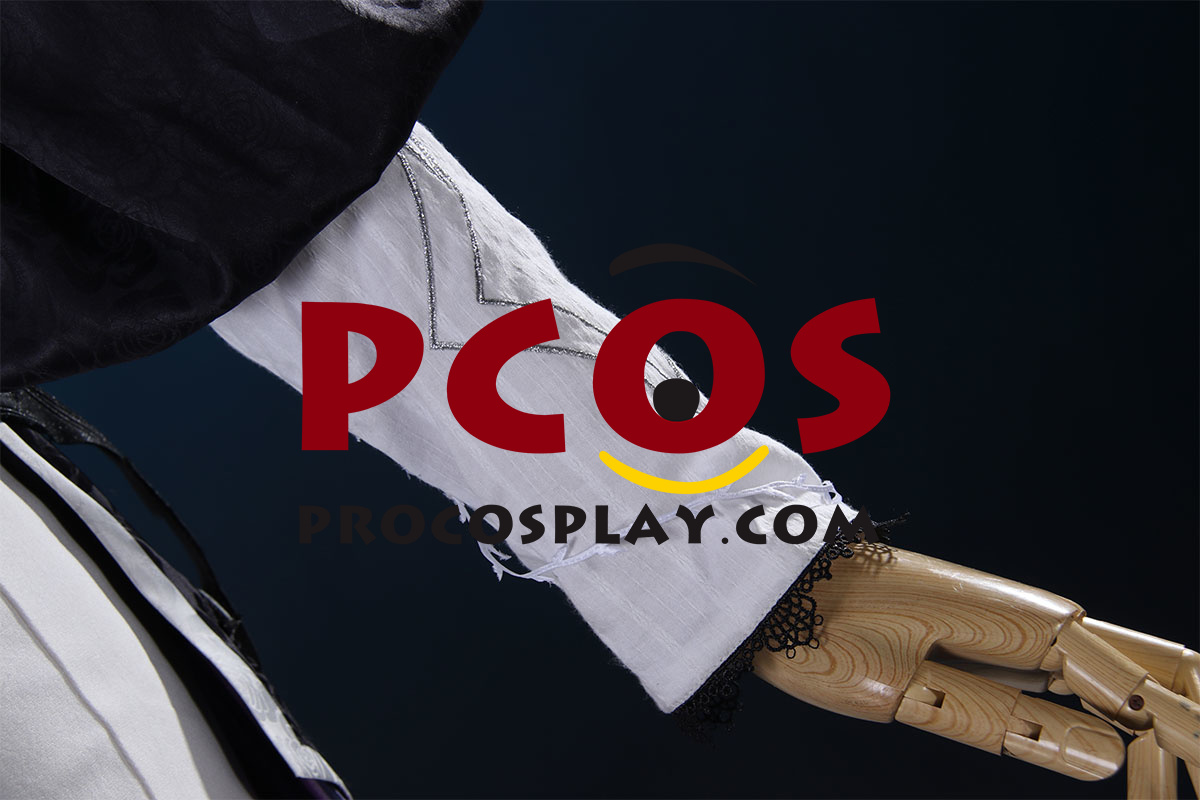 Honkai Impact 3 Thirteen Heroes of Chasing Fire Aponia Cosplay Costume ...