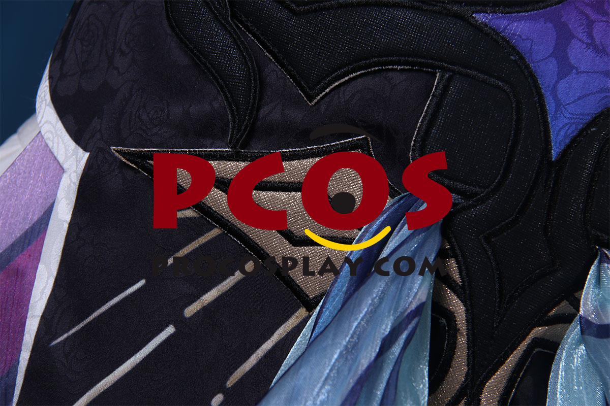 Honkai Impact 3 Thirteen Heroes of Chasing Fire Aponia Cosplay Costume ...