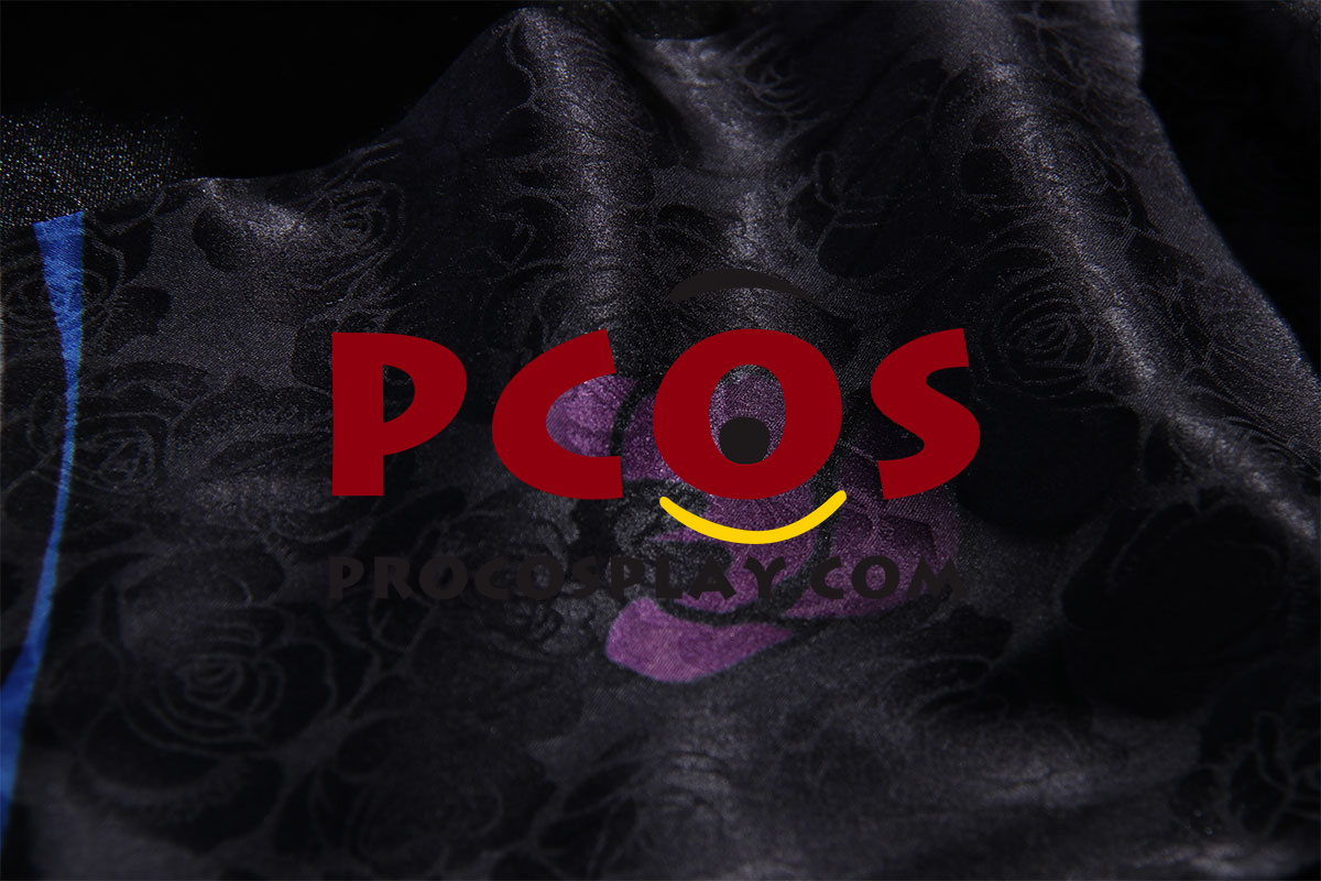 Honkai Impact 3 Thirteen Heroes of Chasing Fire Aponia Cosplay Costume ...