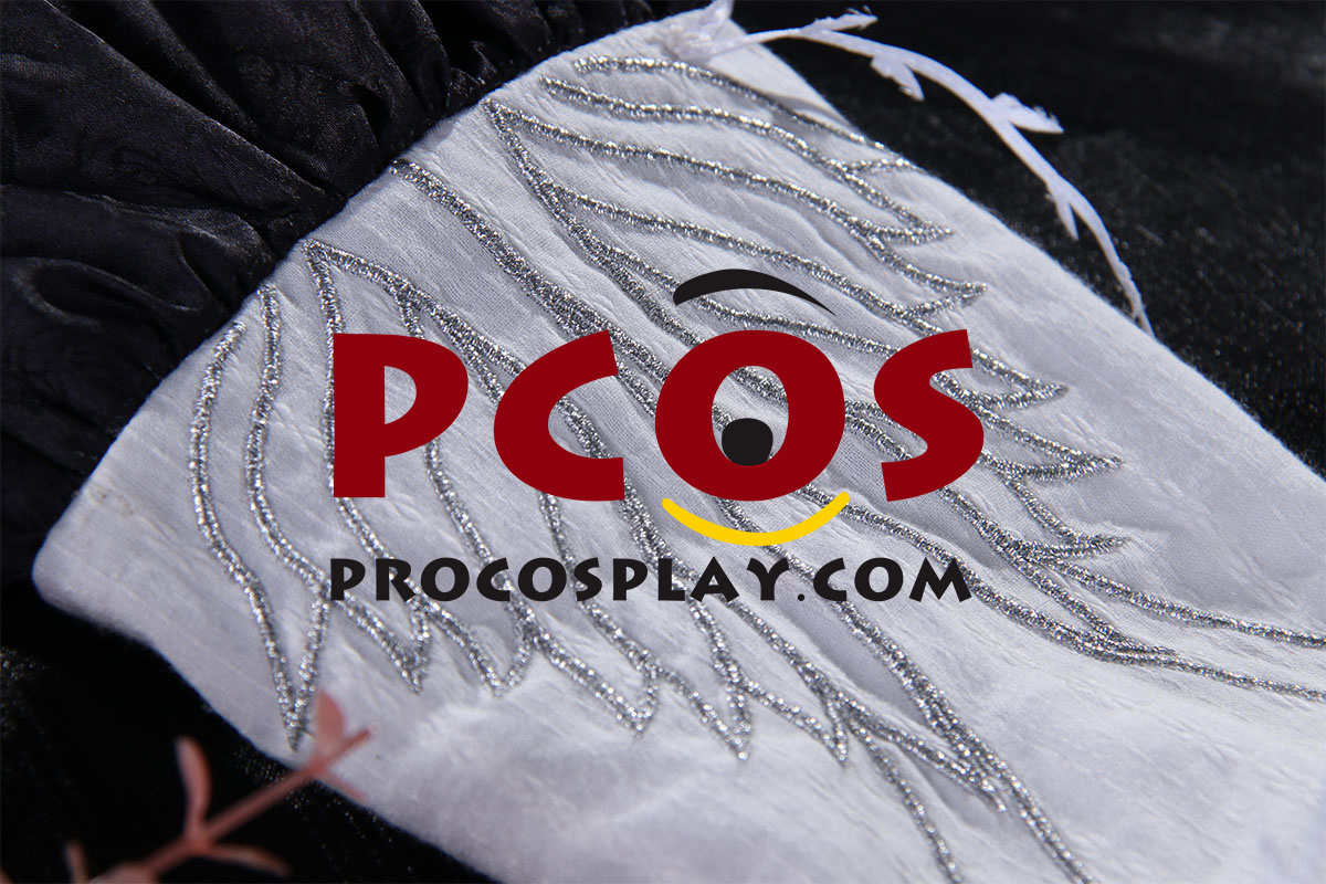 Honkai Impact 3 Thirteen Heroes of Chasing Fire Aponia Cosplay Costume ...