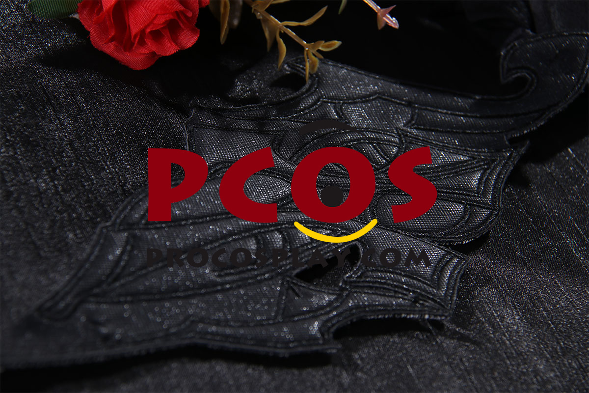 Honkai Impact 3 Thirteen Heroes of Chasing Fire Aponia Cosplay Costume ...