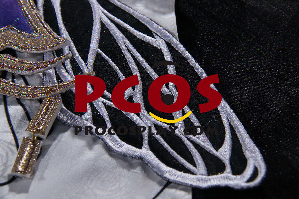 Honkai Impact 3 Thirteen Heroes of Chasing Fire Aponia Cosplay Costume ...