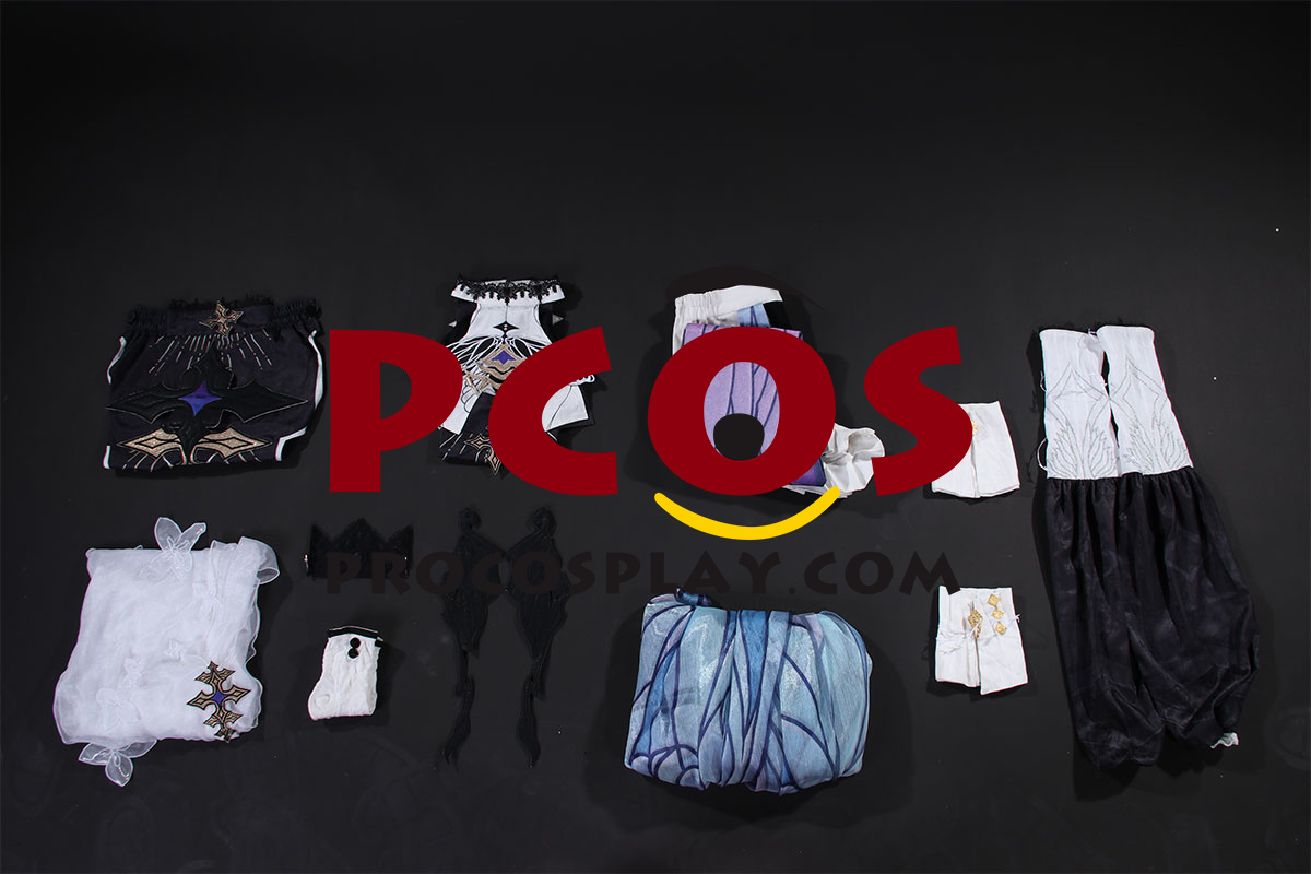 Honkai Impact 3 Thirteen Heroes of Chasing Fire Aponia Cosplay Costume ...