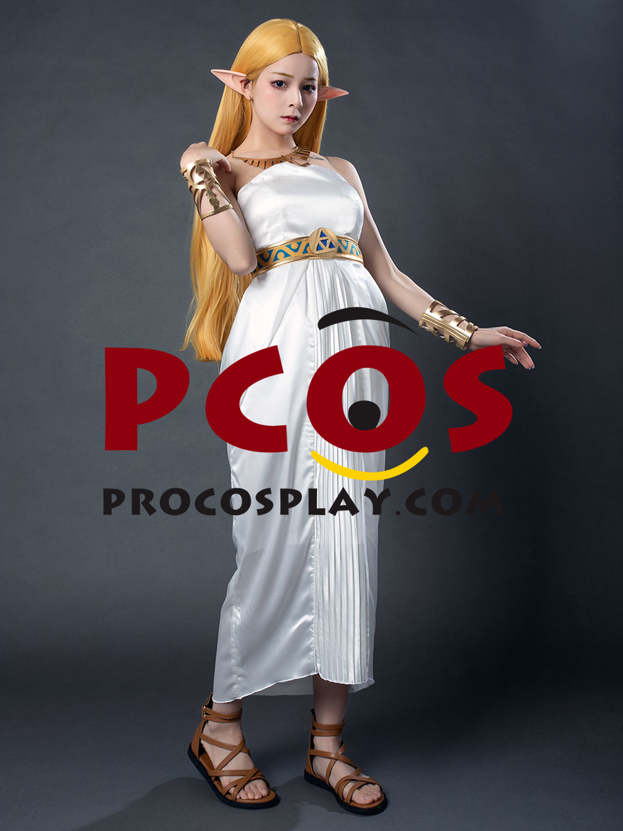 Ready to Ship The Legend of Zelda: Breath of the Wild Princess Zelda Cosplay Costume mp005978 ...