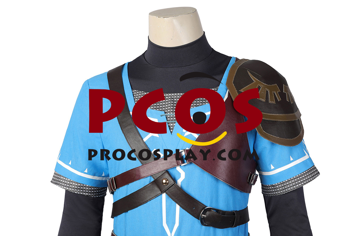 The Legend of Zelda: Tears of the Kingdom Link Cosplay Costume C07551 ...