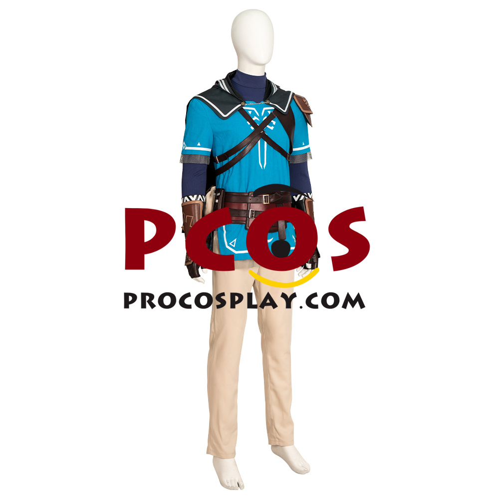 The Legend of Zelda: Tears of the Kingdom Link Costume Cosplay C07302 ...