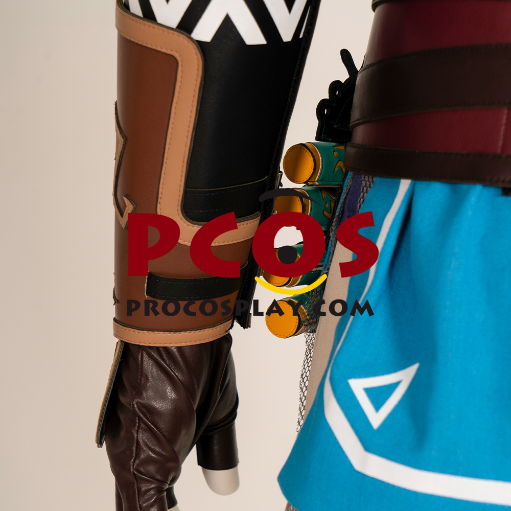 The Legend of Zelda: Tears of the Kingdom Link Cosplay Costume C07302 ...