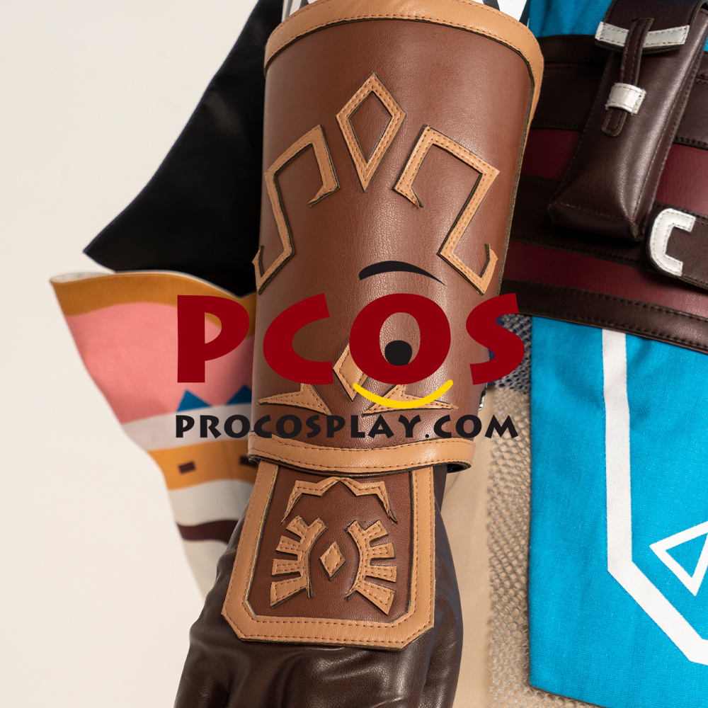 The Legend of Zelda: Tears of the Kingdom Link Cosplay Costume C07302 ...