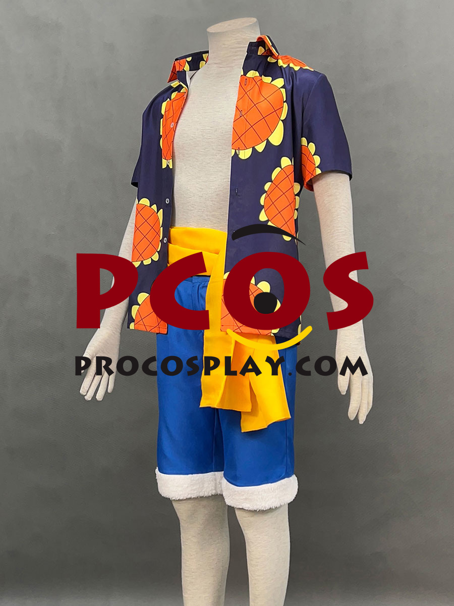 One Piece Dressrosa Monkey D. Luffy Cosplay Costumes - Best Profession ...