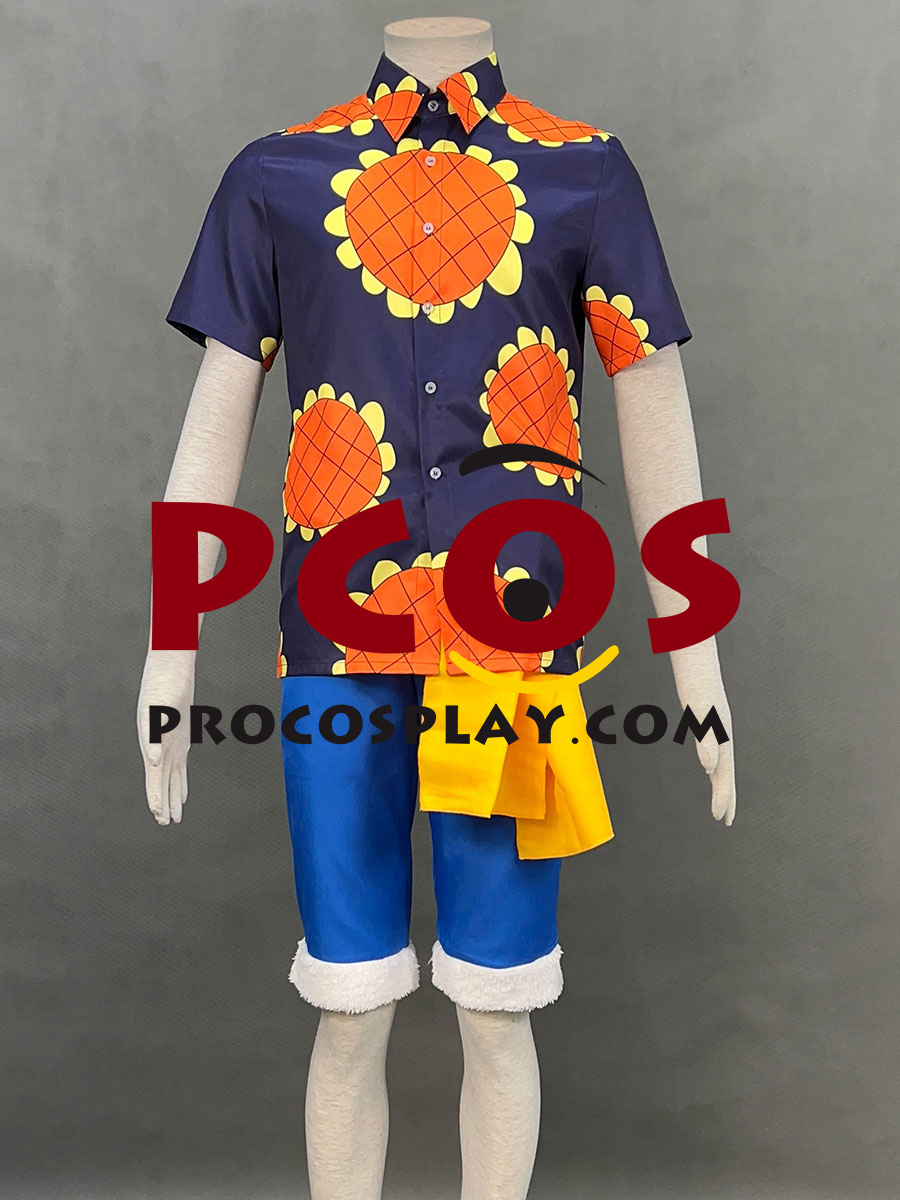 One Piece Dressrosa Monkey D. Luffy Cosplay Costumes - Best Profession ...