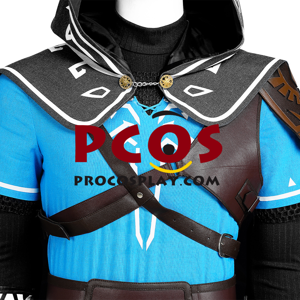 The Legend of Zelda: Tears of the Kingdom Link Cosplay Costume C07302S ...