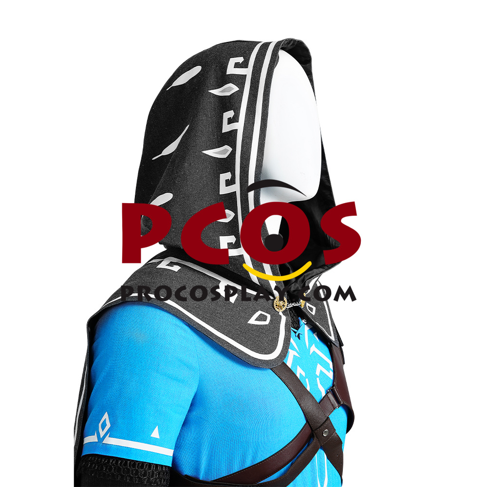 The Legend of Zelda: Tears of the Kingdom Link Cosplay Costume C07302S ...