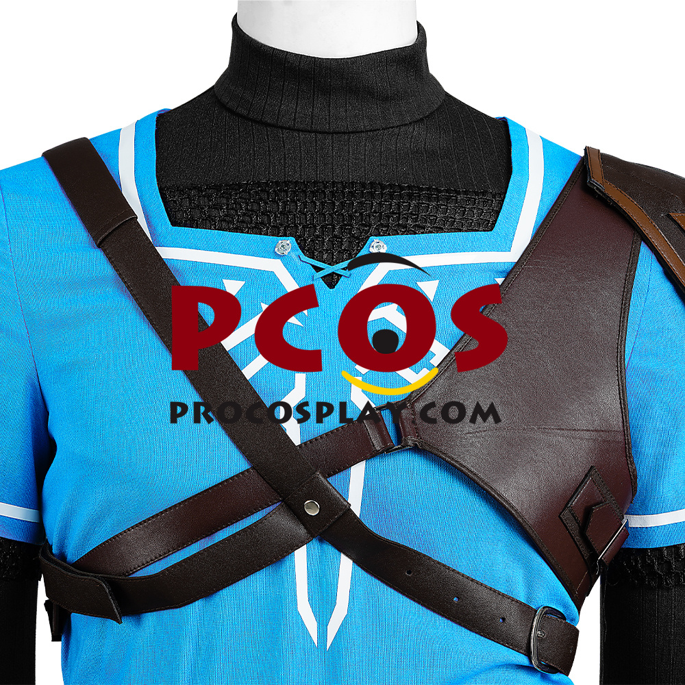 The Legend of Zelda: Tears of the Kingdom Link Cosplay Costume C07302S ...