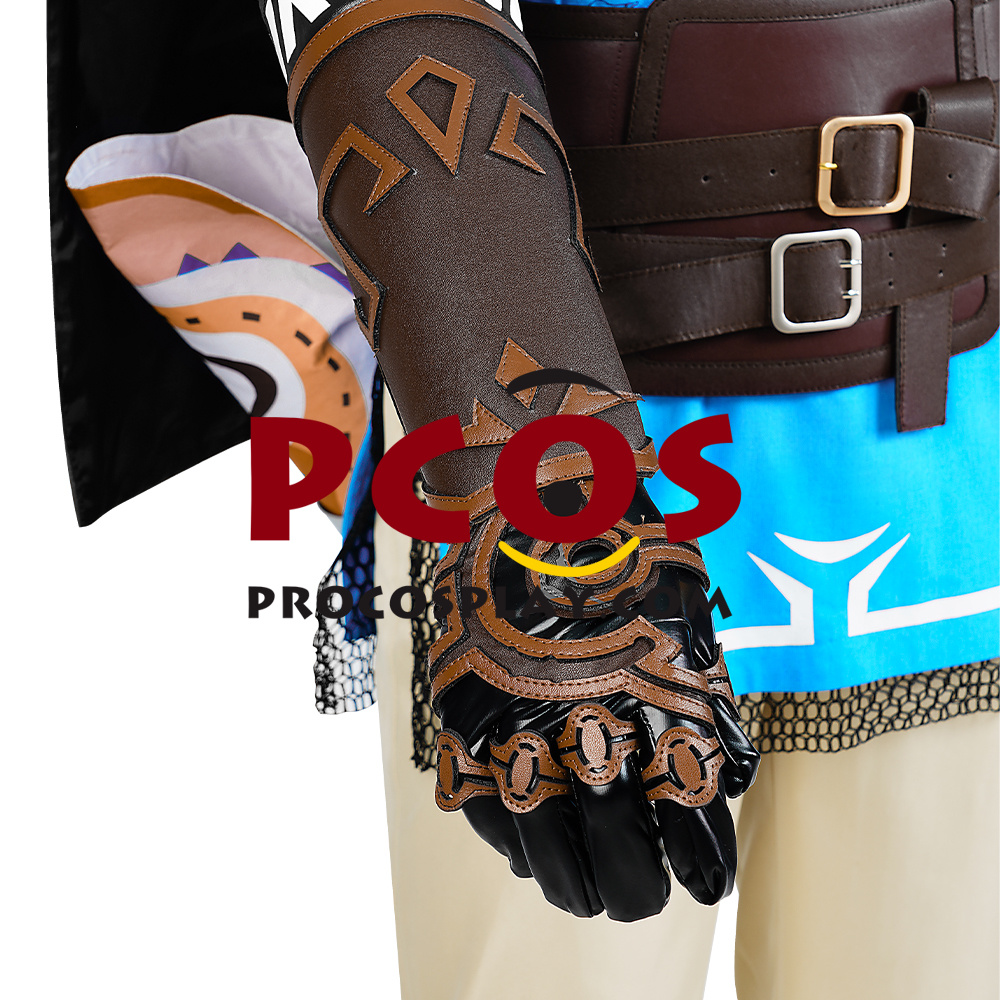 The Legend of Zelda: Tears of the Kingdom Link Cosplay Costume C07302S ...