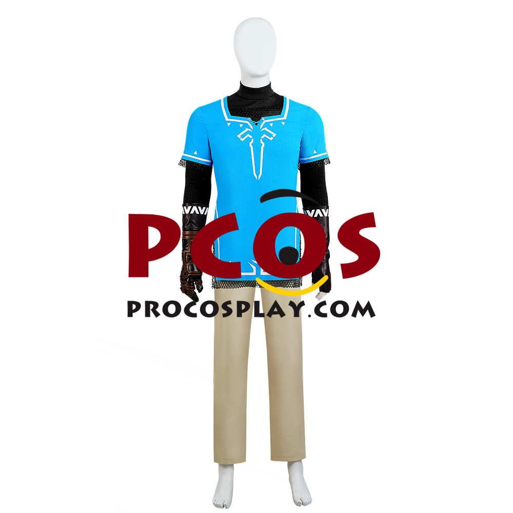 The Legend of Zelda: Tears of the Kingdom Link Cosplay Costume C07302S ...
