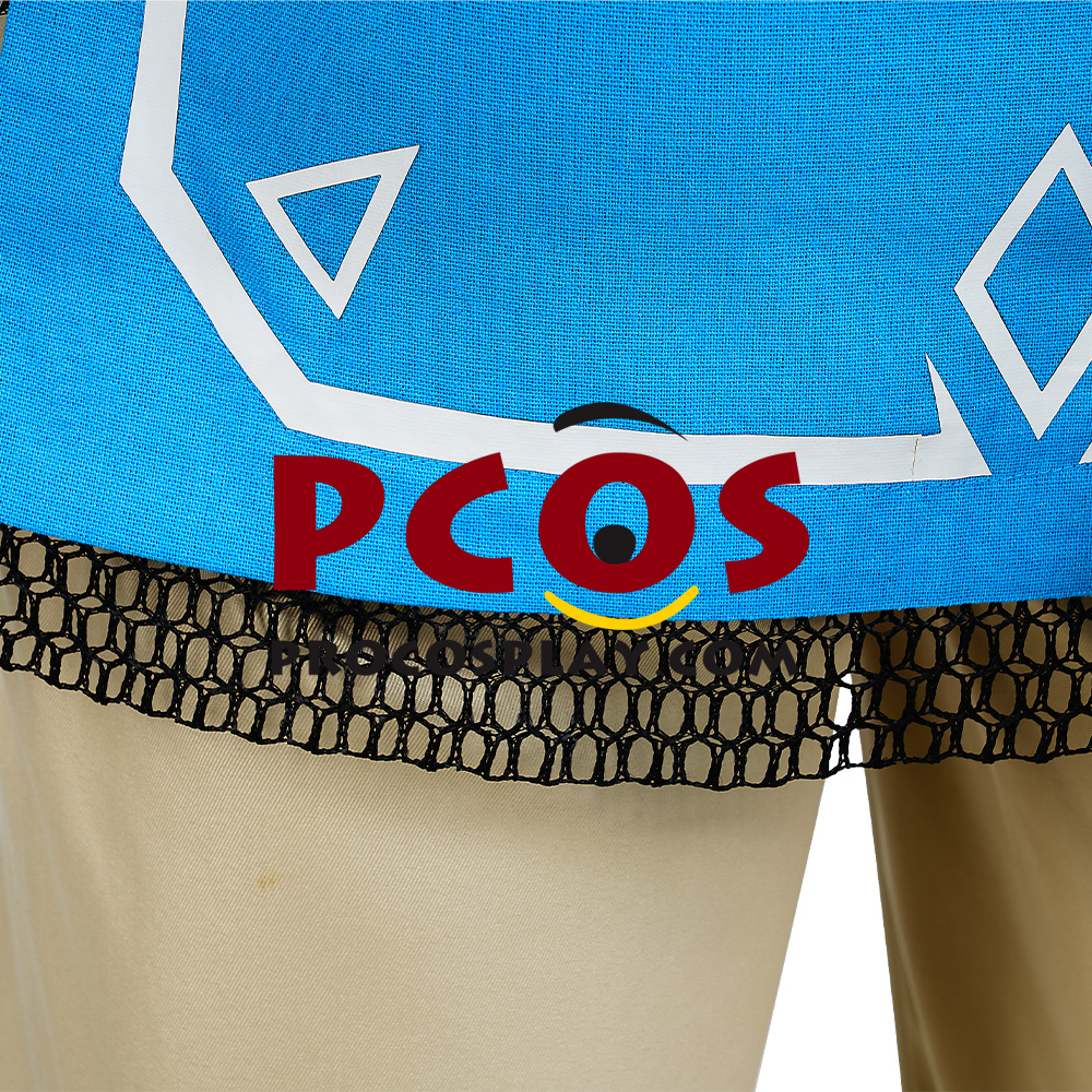 The Legend of Zelda: Tears of the Kingdom Link Cosplay Costume C07302S ...