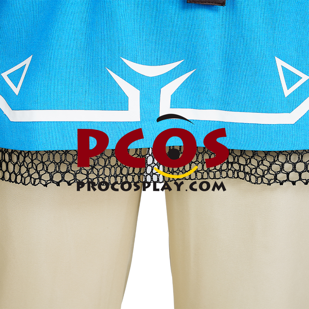 The Legend of Zelda: Tears of the Kingdom Link Cosplay Costume C07302S ...