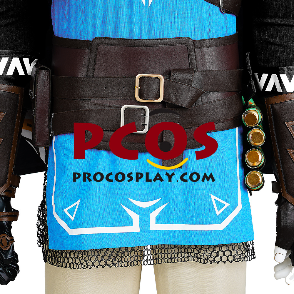 The Legend of Zelda: Tears of the Kingdom Link Cosplay Costume C07302S ...