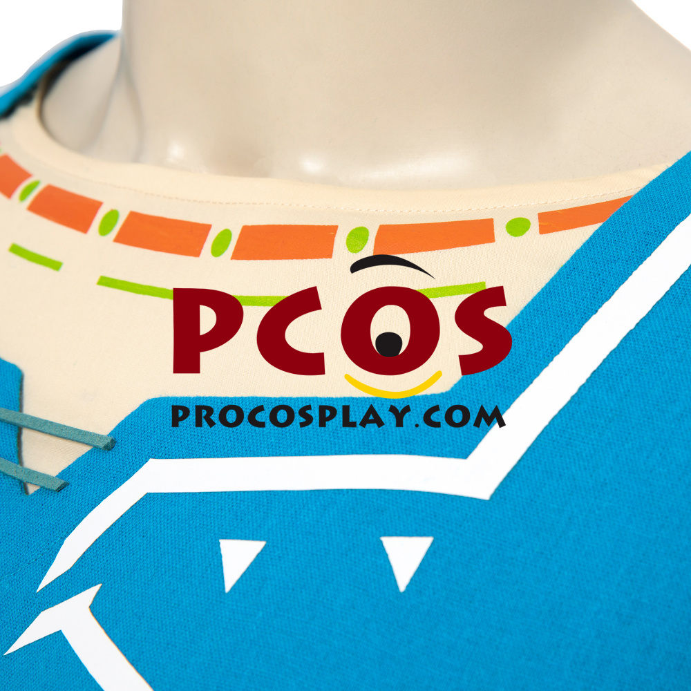 The Legend of Zelda: Breath of the Wild Link Champion's Tunic Cosplay ...