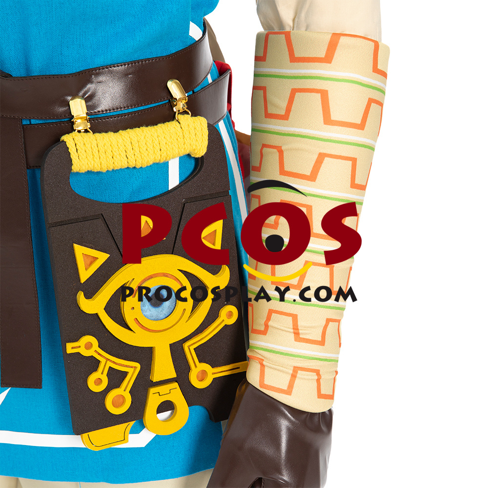 The Legend of Zelda: Breath of the Wild Link Champion's Tunic Cosplay ...