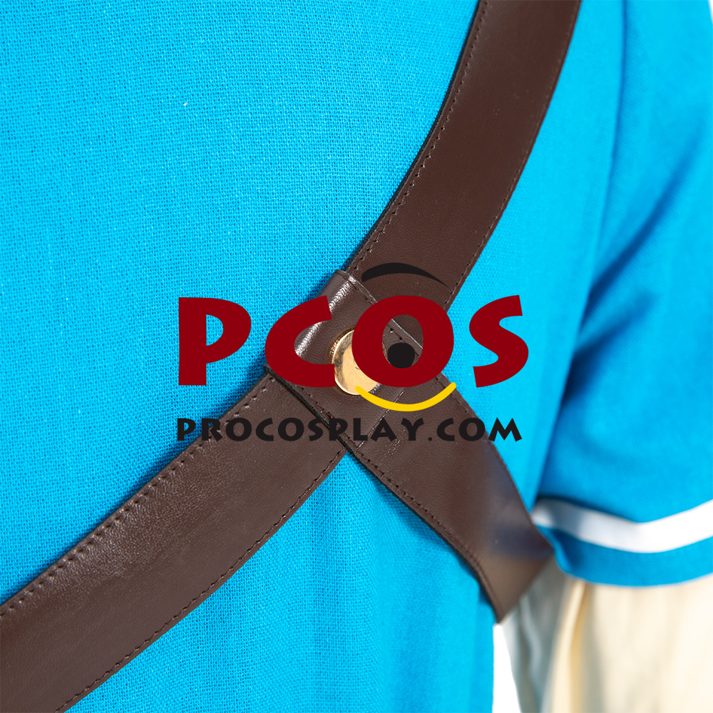 The Legend of Zelda: Breath of the Wild Link Champion's Tunic Cosplay ...