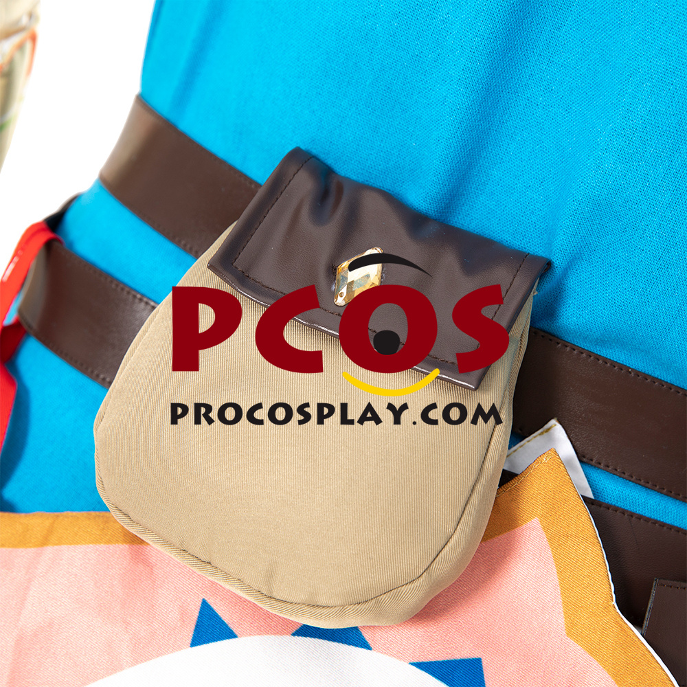 The Legend of Zelda: Breath of the Wild Link Champion's Tunic Cosplay ...